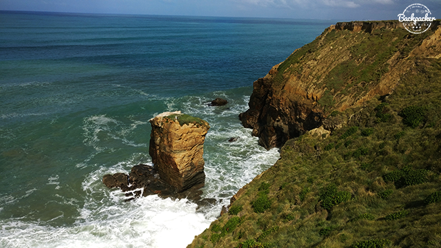 One Month Road Trip in New Zealand - Backpacker Paradise