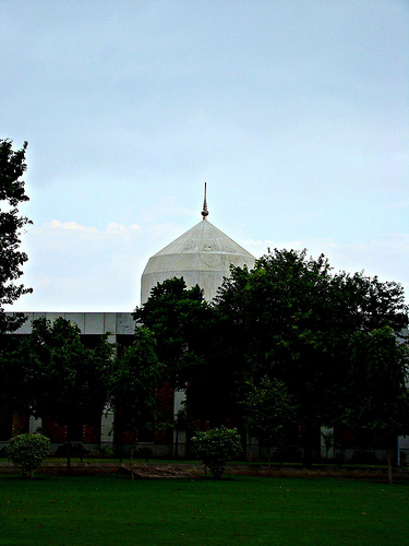 The Cause of all causes is One