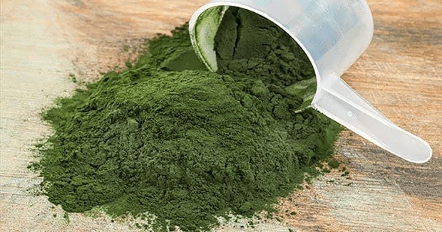 Spirulina Powder: A Miracle That Boosts Your Overall Health!