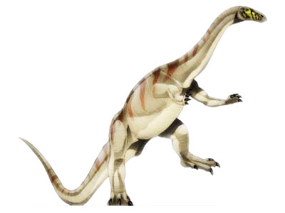 Reptossaurus: RIOJASSAURO