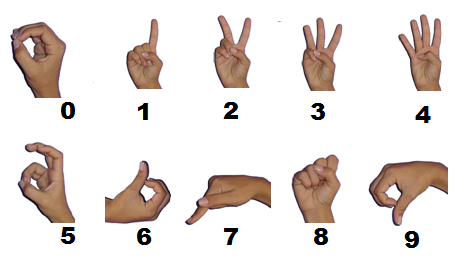 Acesse Libras: É HORA DE APRENDER A CONTAR EM LIBRAS / NÚMEROS EM LIBRAS