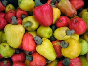 Dicas Saudáveis: Caju Fruta da época!! Conheça os benefícios