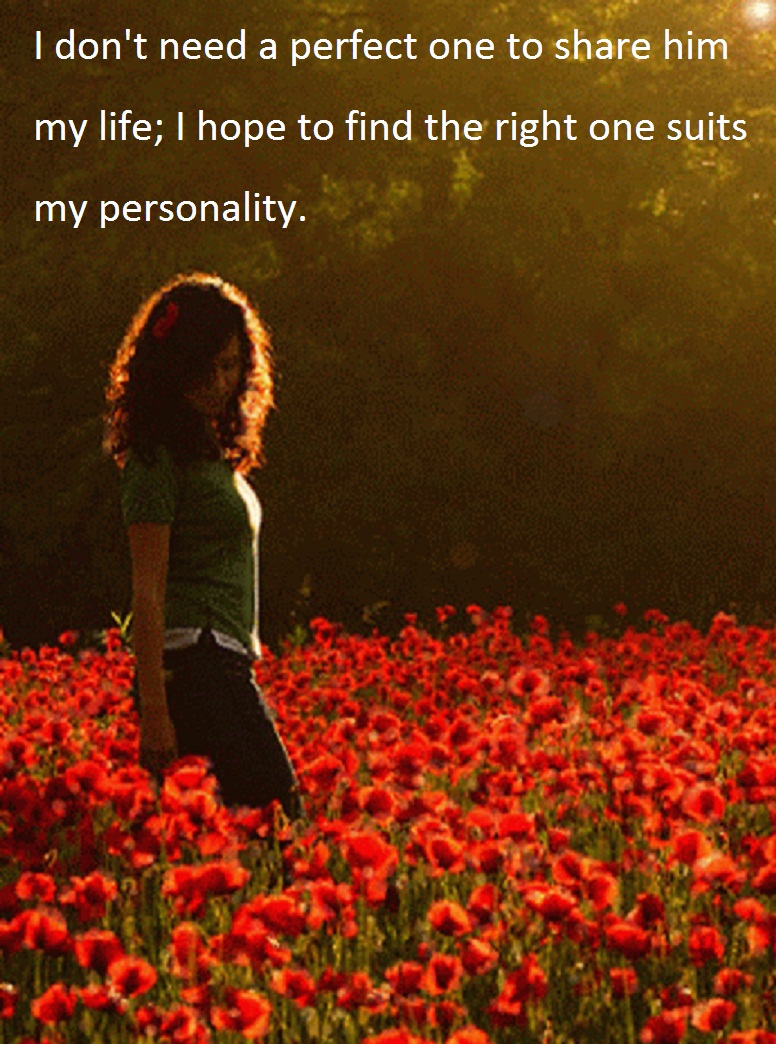 I Don't Need A Perfect One | Quotes and Sayings