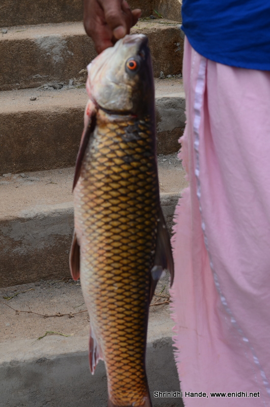 Seetharkundu viewpoint and Pothundi Dam, Nelliyampathy, Kerala - eNidhi ...