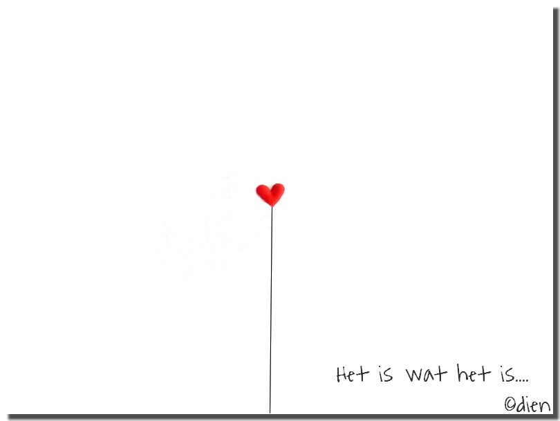 klaproos: 13.11 Het is wat het is