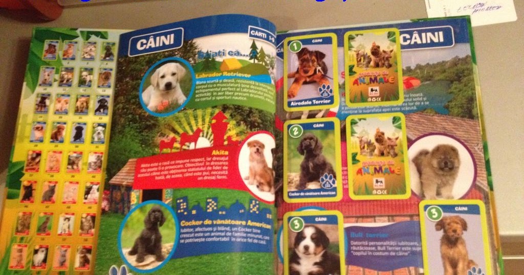 Gentiana Andreea: Mega Image - 04 - Gradinita de animale