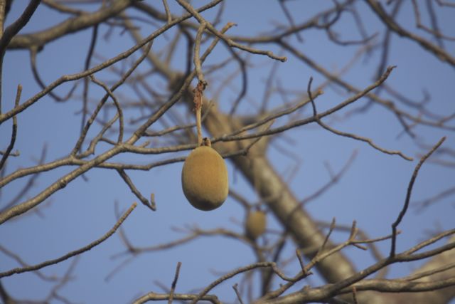 By any means to Borneo & beyond