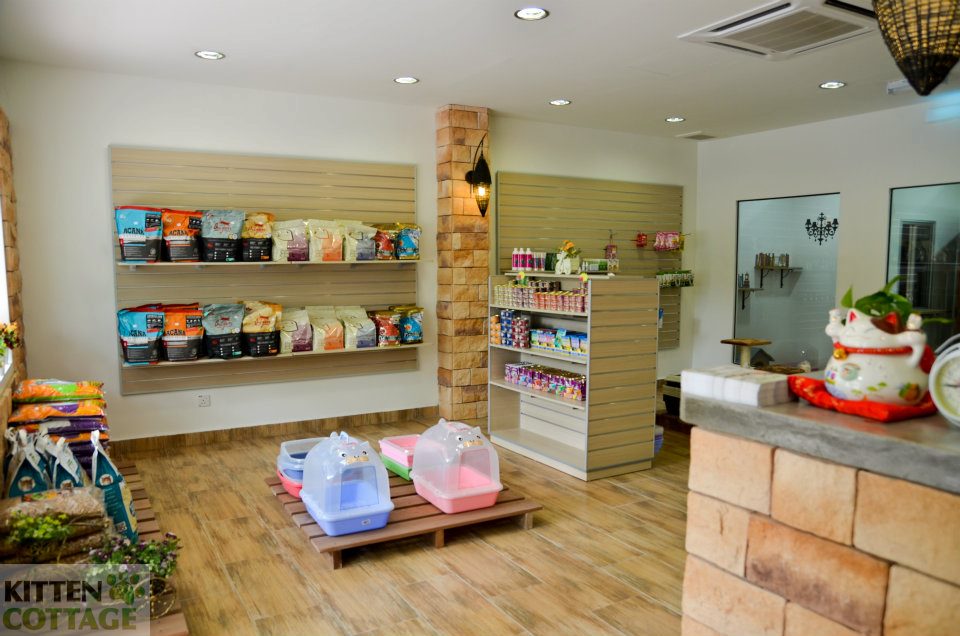 Kitten Cottage: Gallery