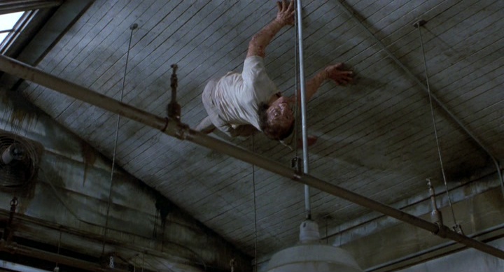 Películas de culto: La mosca