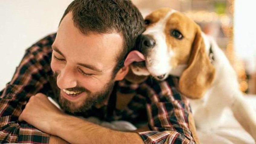 Conoce las razas de perros más inteligentes según los expertos