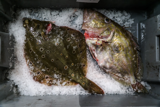 Through the Gaps! - Newlyn Fishing News: 01/03/2018 - 01/04/2018 ...