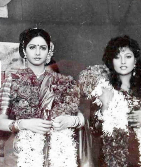 Sridevi: Sridevi's comedy in Roop Ki Rani Choron Ka Raja (1993): Anil ...