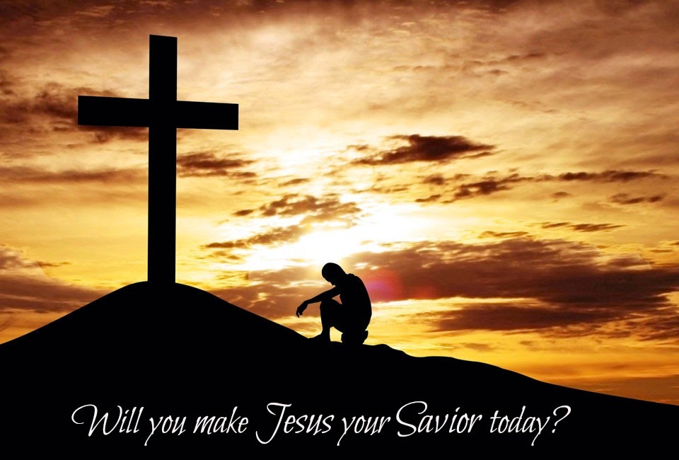 Haven of Hope: Salvation