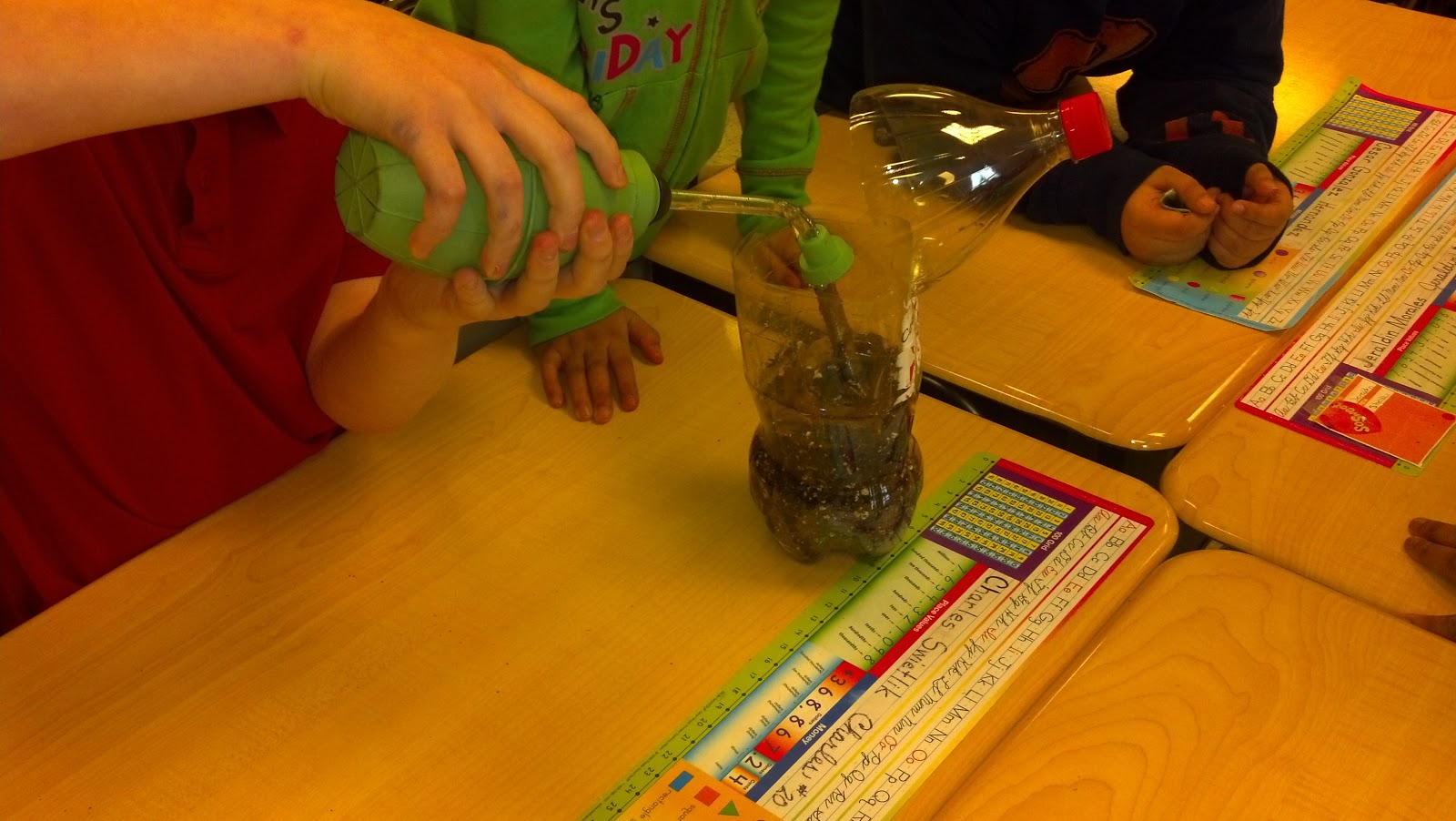 Third Grade Thinking: Building our Terrariums- with Real Pill Bugs!