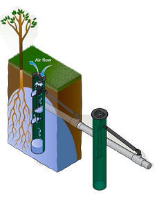 Earth's Internet & Natural Networking: Deep Irrigation Methods for ...