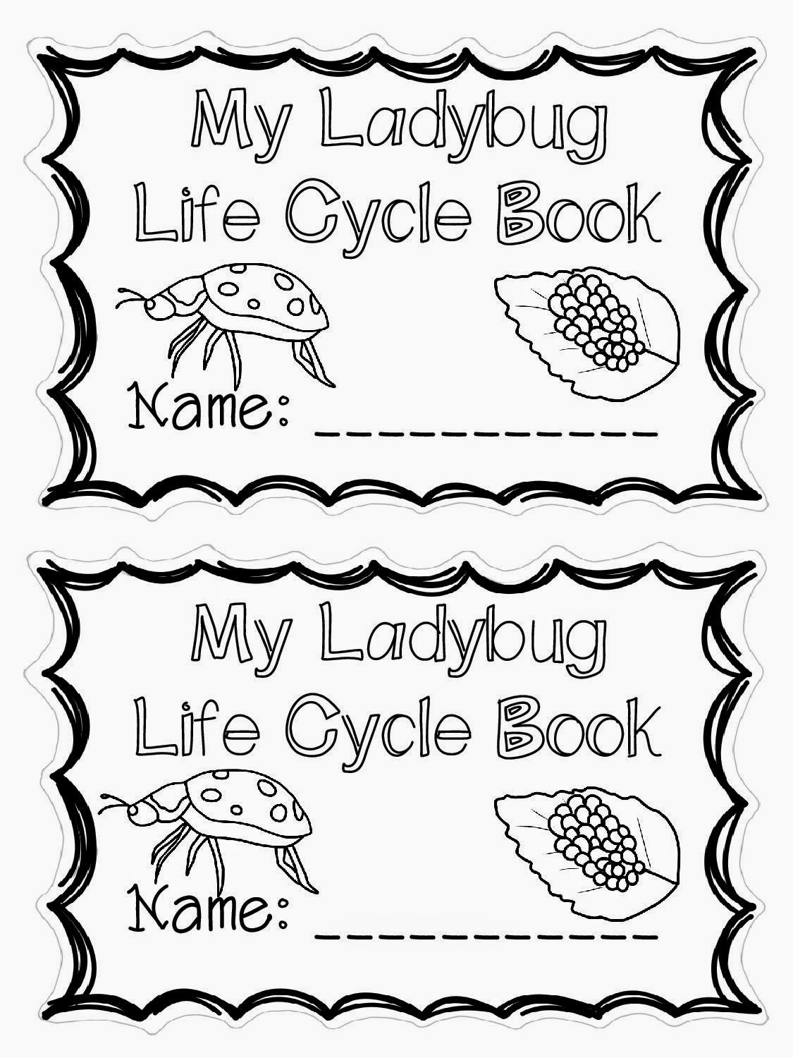 Ladybug Ladybug Fly Away Home! | Hillary's Teaching Adventures