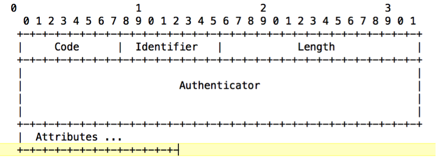 Programming for beginners: Radius Packet format