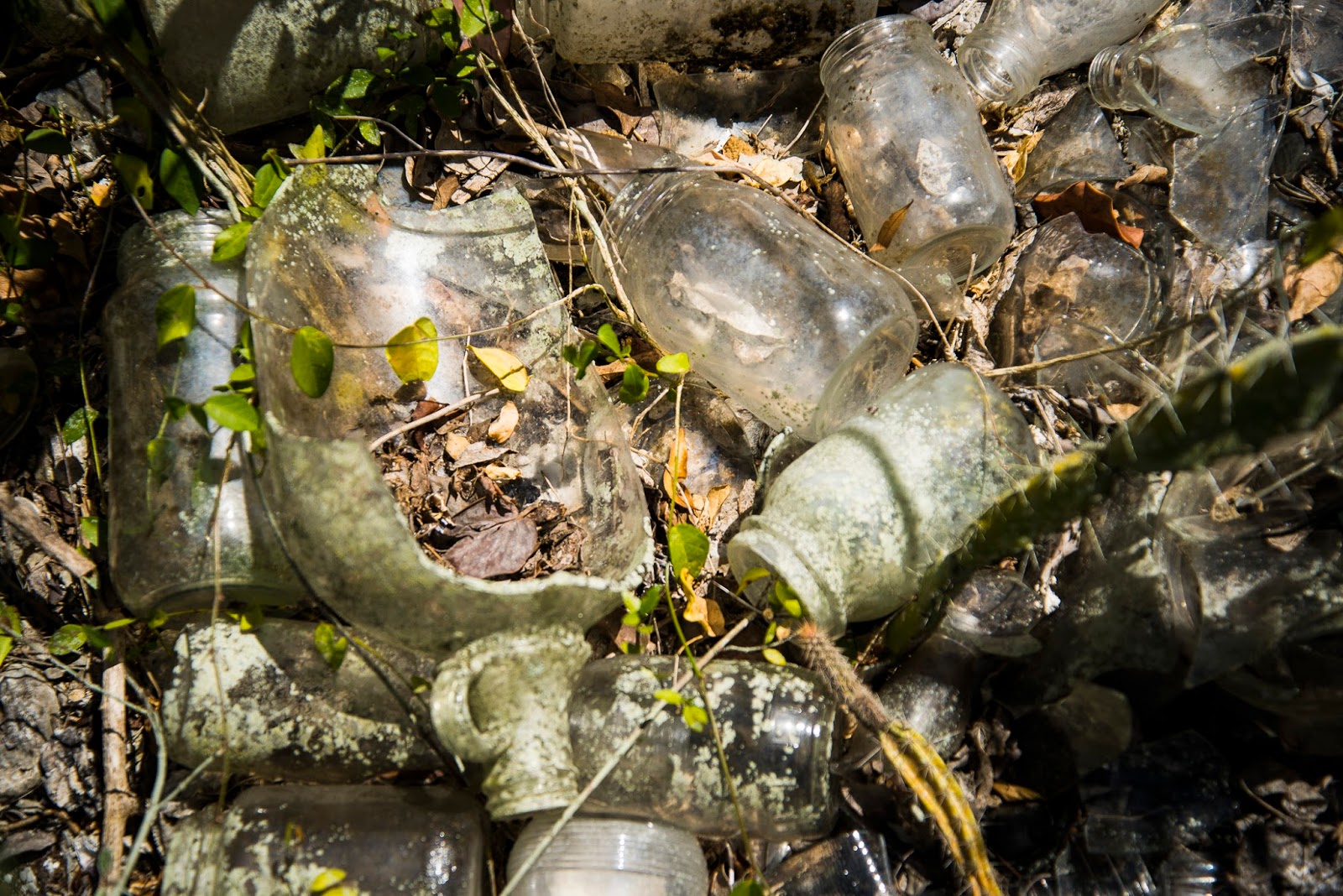 Florida Gunkholer: Dismal Key: One Very Different Island Among Ten Thousand