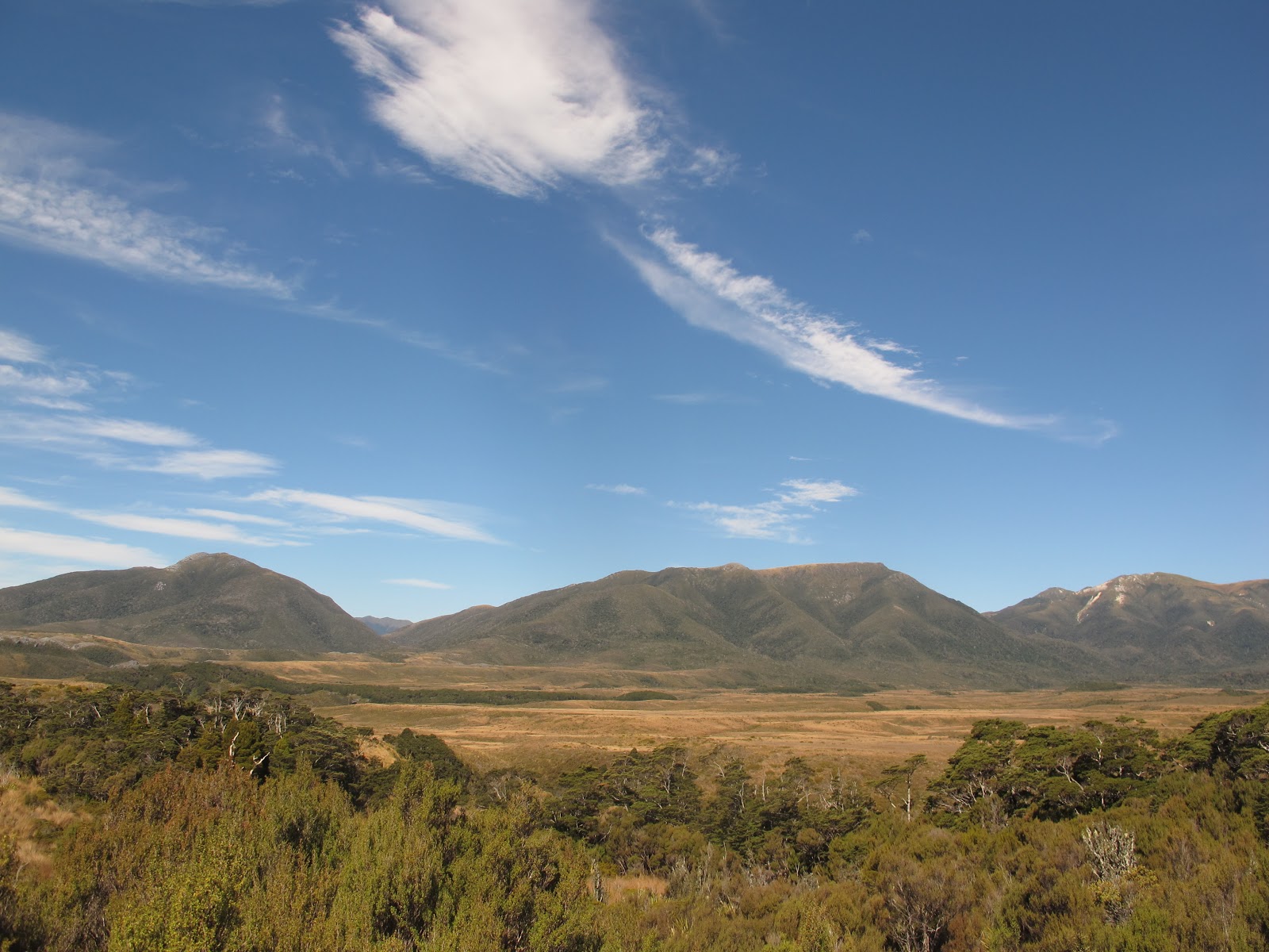 Come, walk with me.: Heaphy Track - day 2 Gouland Downs hut to Saxon Hut