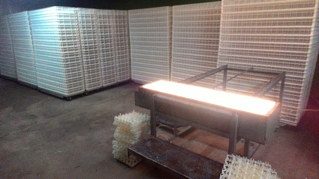 BOLONE 31: PROSES CANDLING / TRANSFER , TENTANG CANDLING / TRANSFER ...