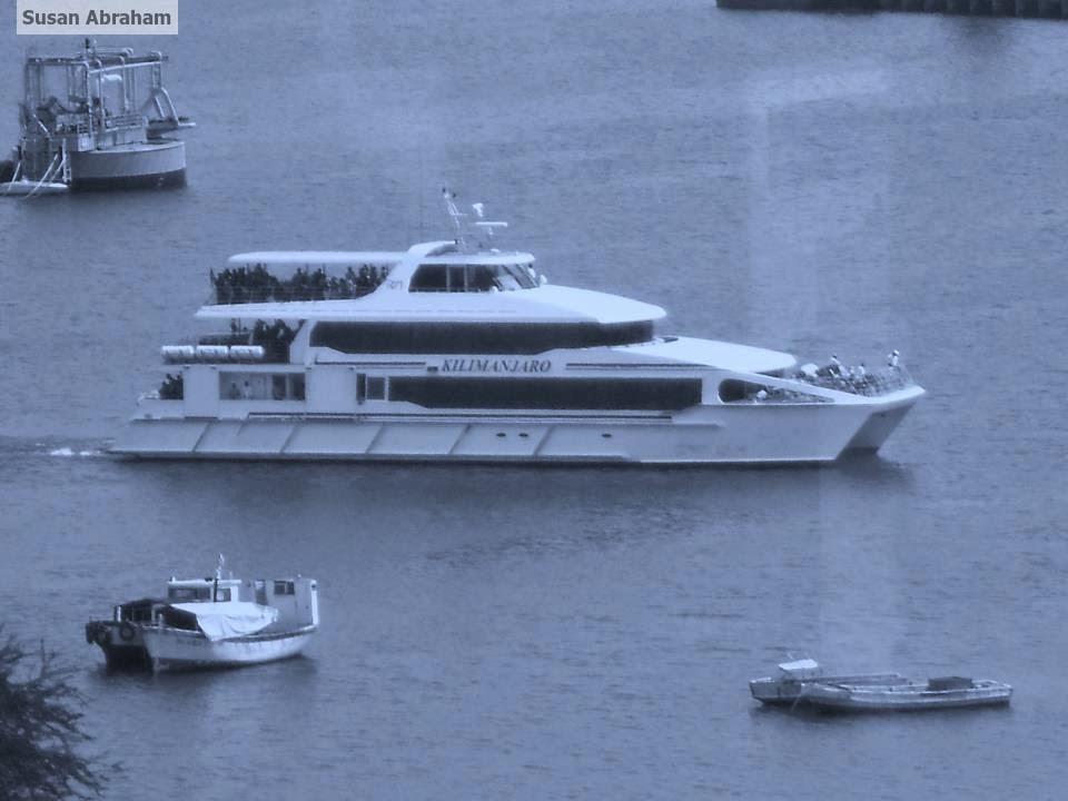 The Bride by Austin Bukenya | Of Wells, Walls and Veils