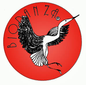 BIODANZA ~ dancelife: Home ~ Biodanza definition