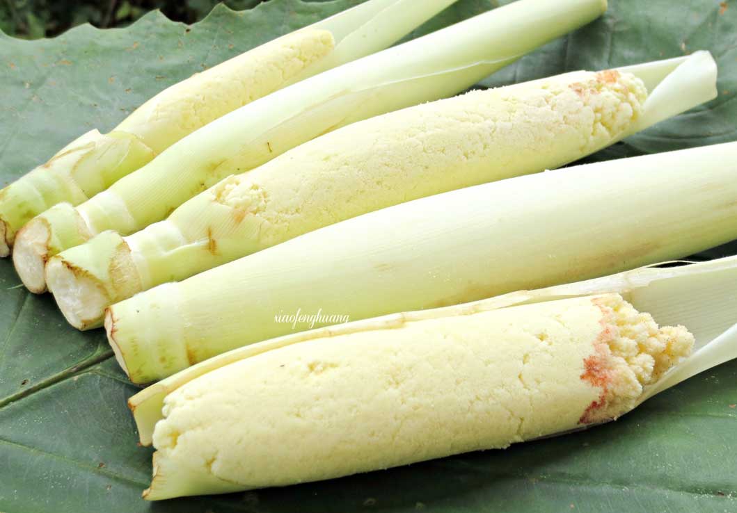 Private Bunda: Sayur Lodeh Tebu Ikan