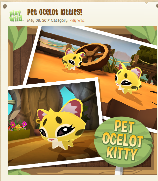 The Animal Jam Friendship Community: If Animal Jam Was Real+Awesome ...