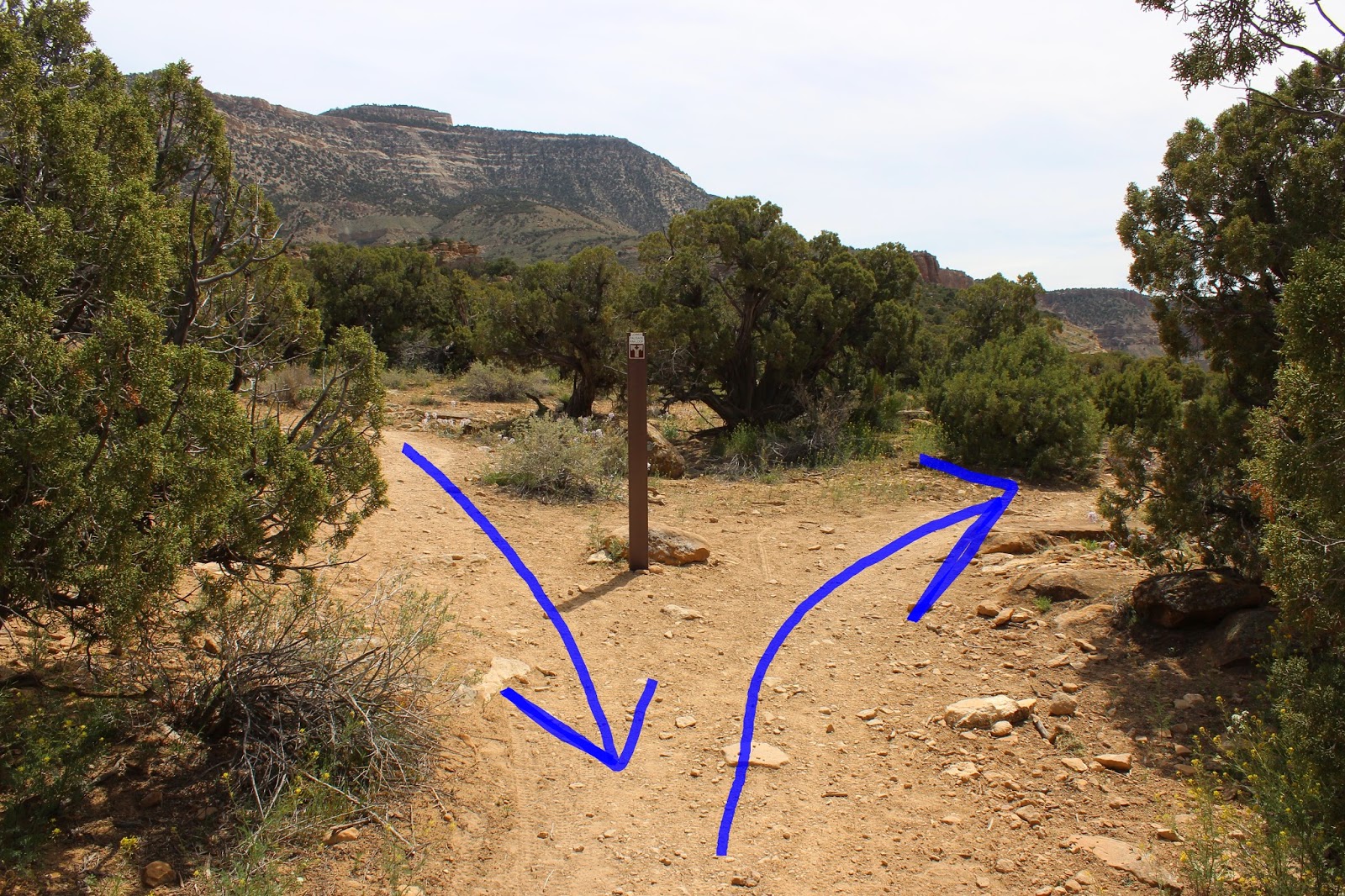 gjhikes.com: Palisade Rim Upper Loop