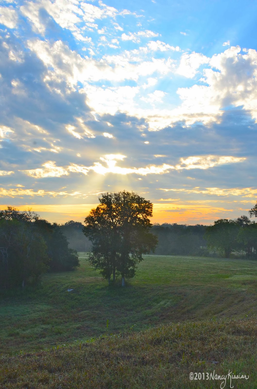 Wild About Texas: Finding Fall in Texas