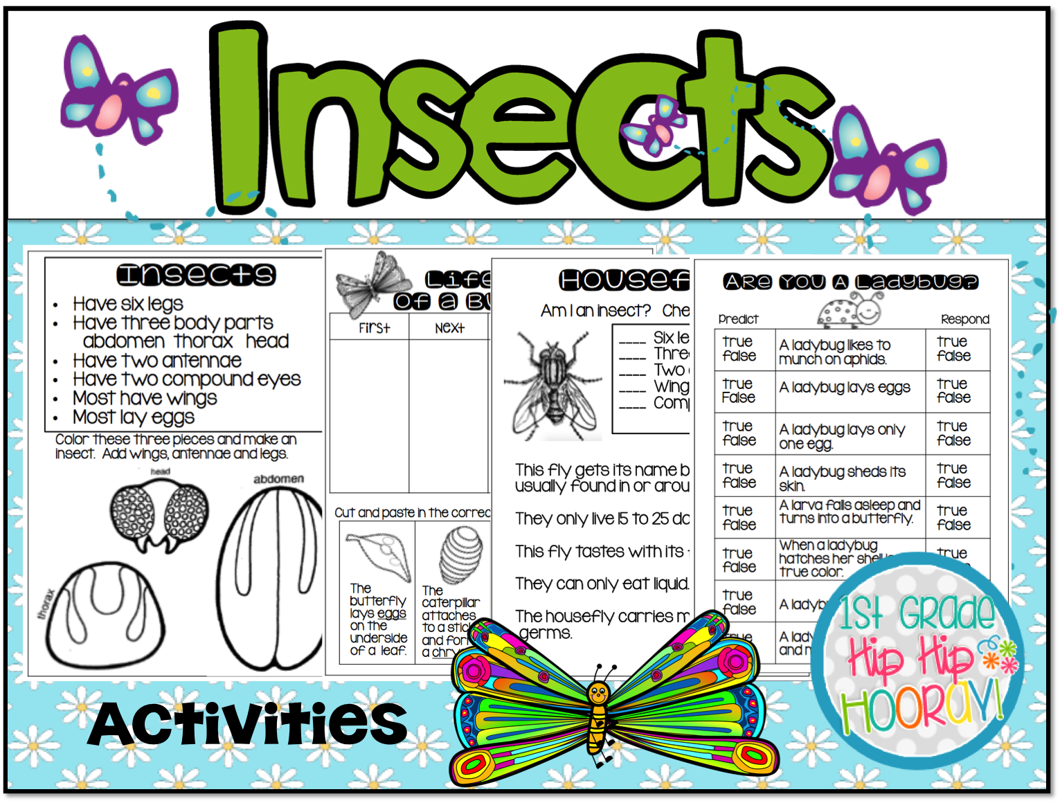 1st Grade Hip Hip Hooray!: Insects...Interesting!!