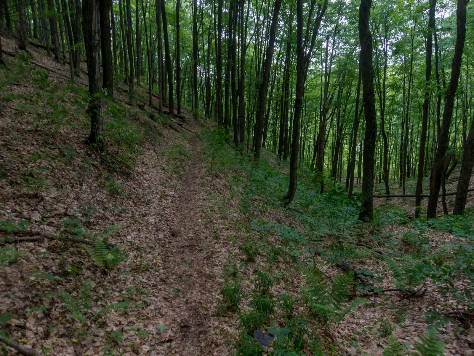 Eric's Hikes: Jordan River Pathway/NCT loop