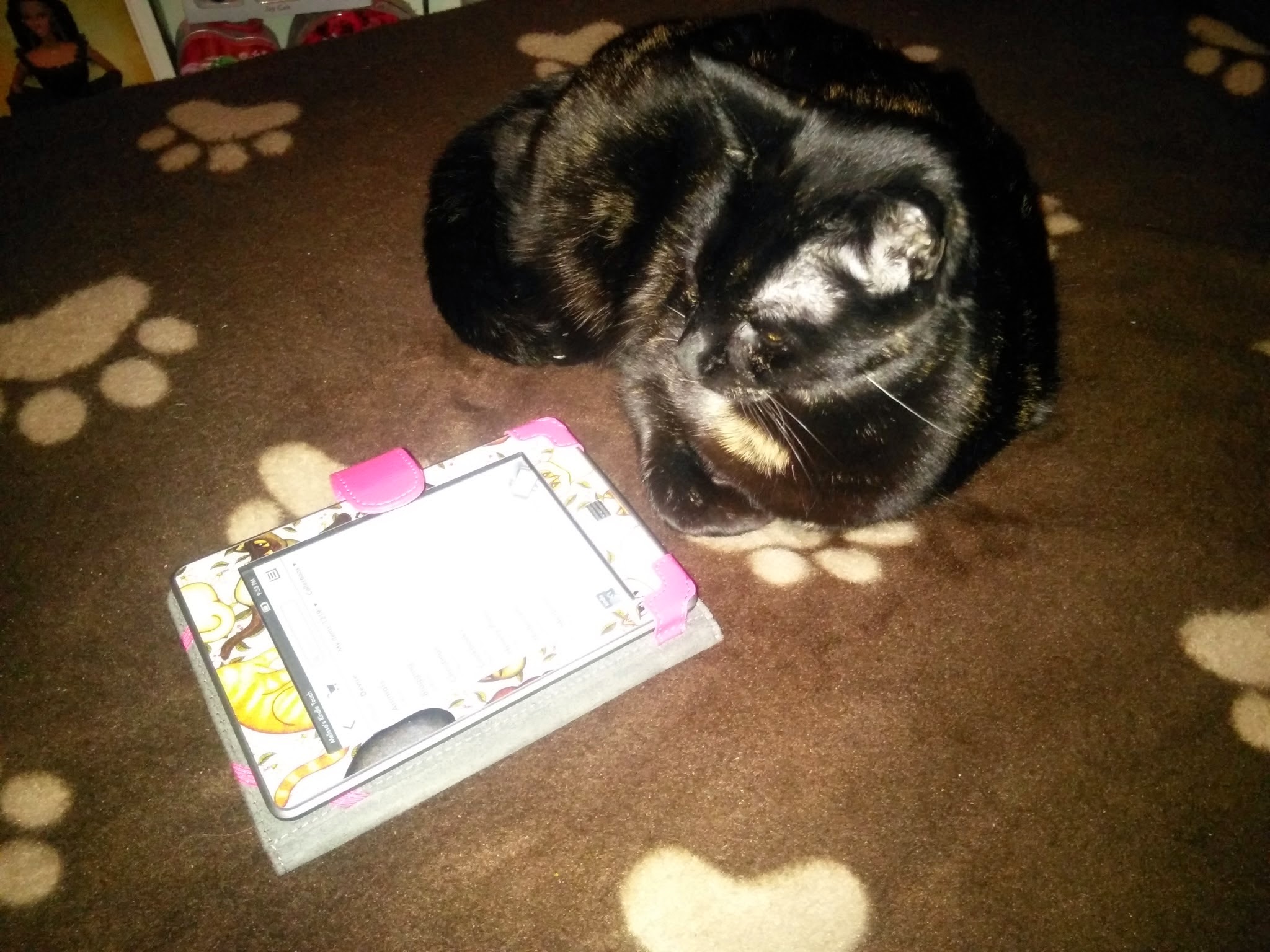 Melissa's Mochas, Mysteries and Meows: Truffles' Fiction Debut in ...