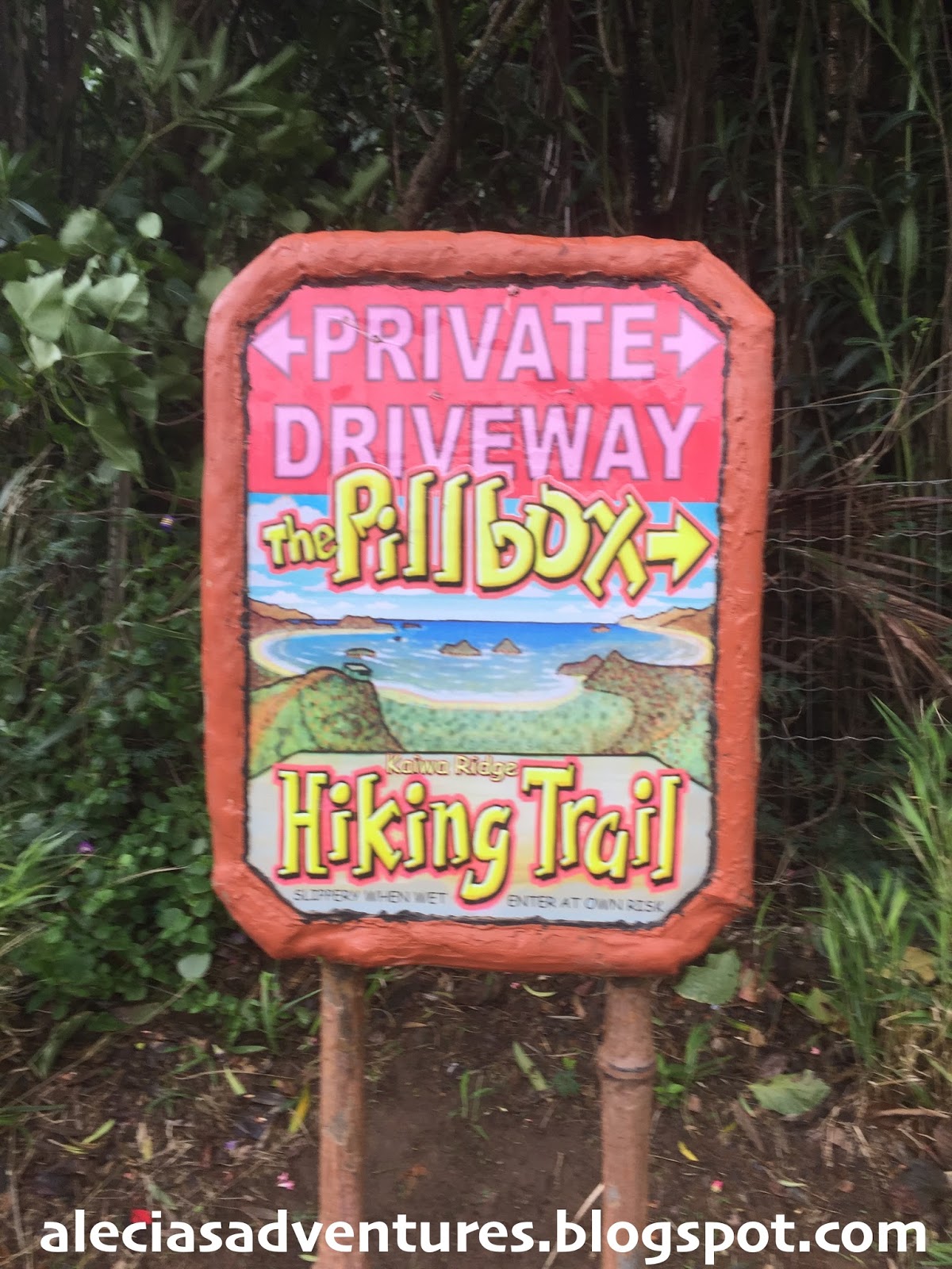 The Lanikai Pillbox Hike - Alecia's Adventures