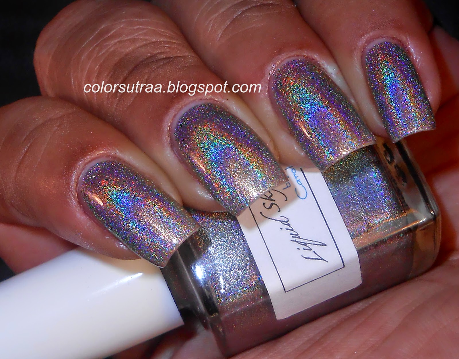LIQUID SKY LACQUER Part III : Bri's Hella Holo, Walk on the Wild Side ...