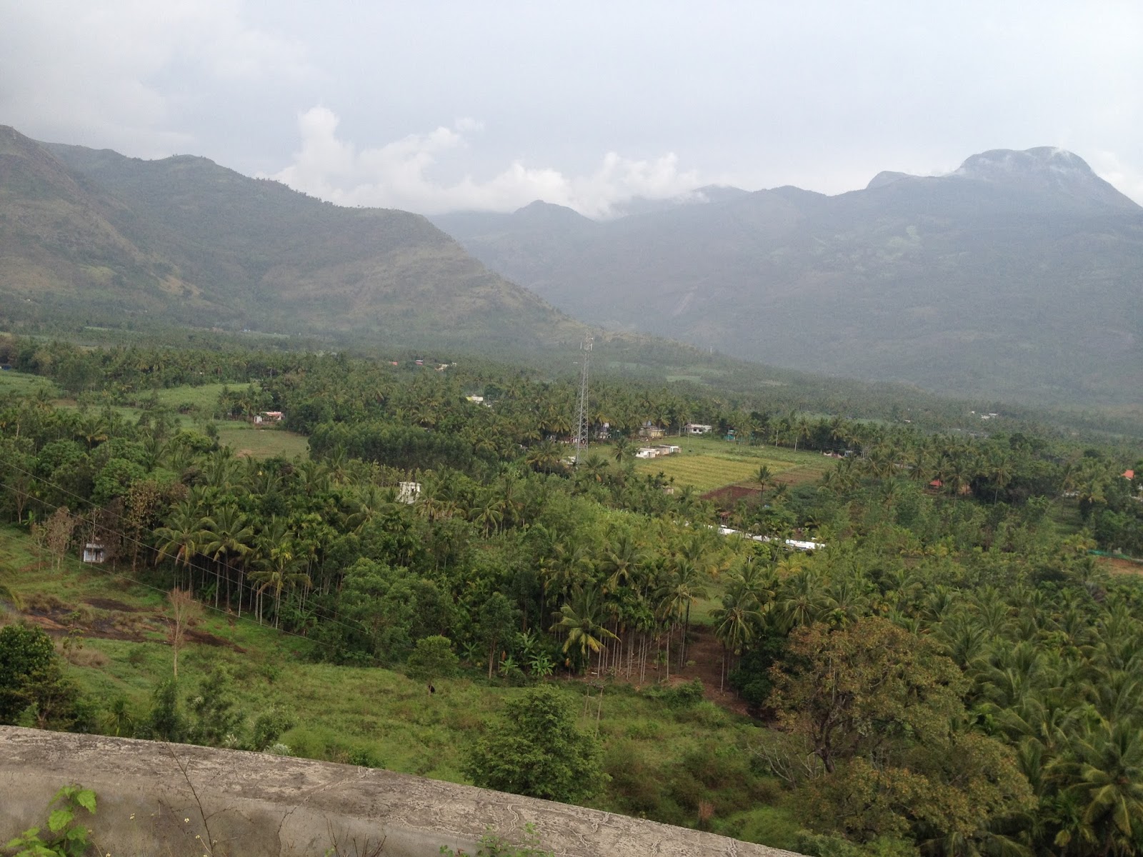 KANTHALLOOR THE LAND OF FRUITS | TOURIST ATTRACTIONS IN KANTHALLOR ...