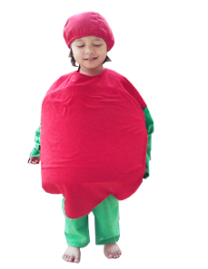 Kostum Buah Apel Untuk Anak | Kostum Anak