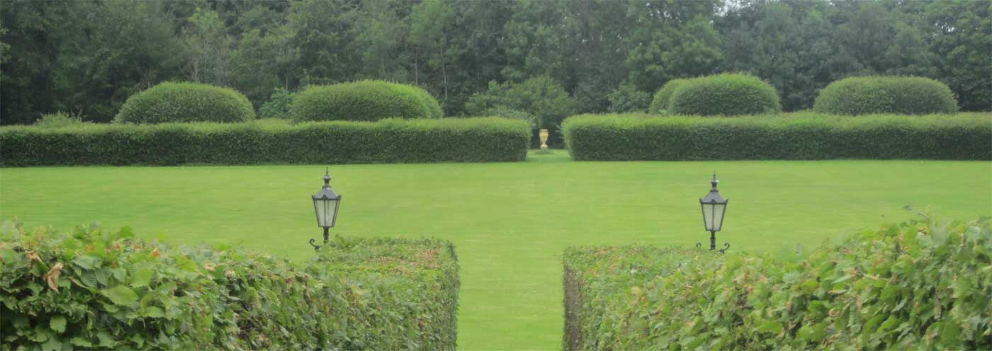 Topiary, formklippning av buskar, träd: Svensk labyrint