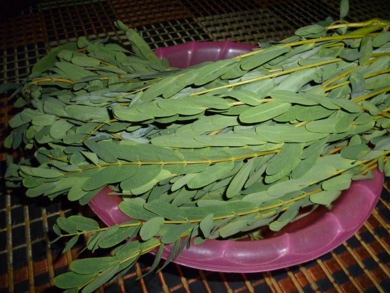 ♥ ♥ Shuhadah Zainol♥ ♥ ♥: MASAK LEMAK DAUN KETI DENGAN KELEDEK