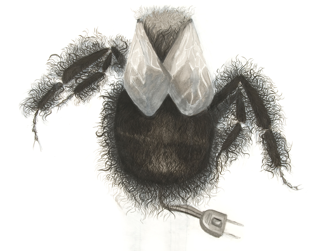 Ruth Marsh: Corpus Melliferous