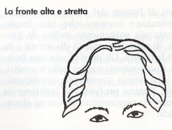 Fare un Identikit online: La fronte alta e stretta