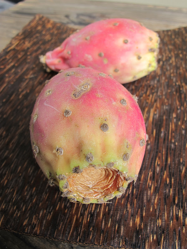 Morsels and Musings: prickly pear & lime curd