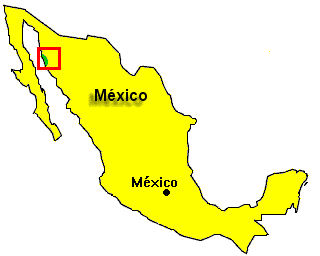 los Seris en el siglo XXI