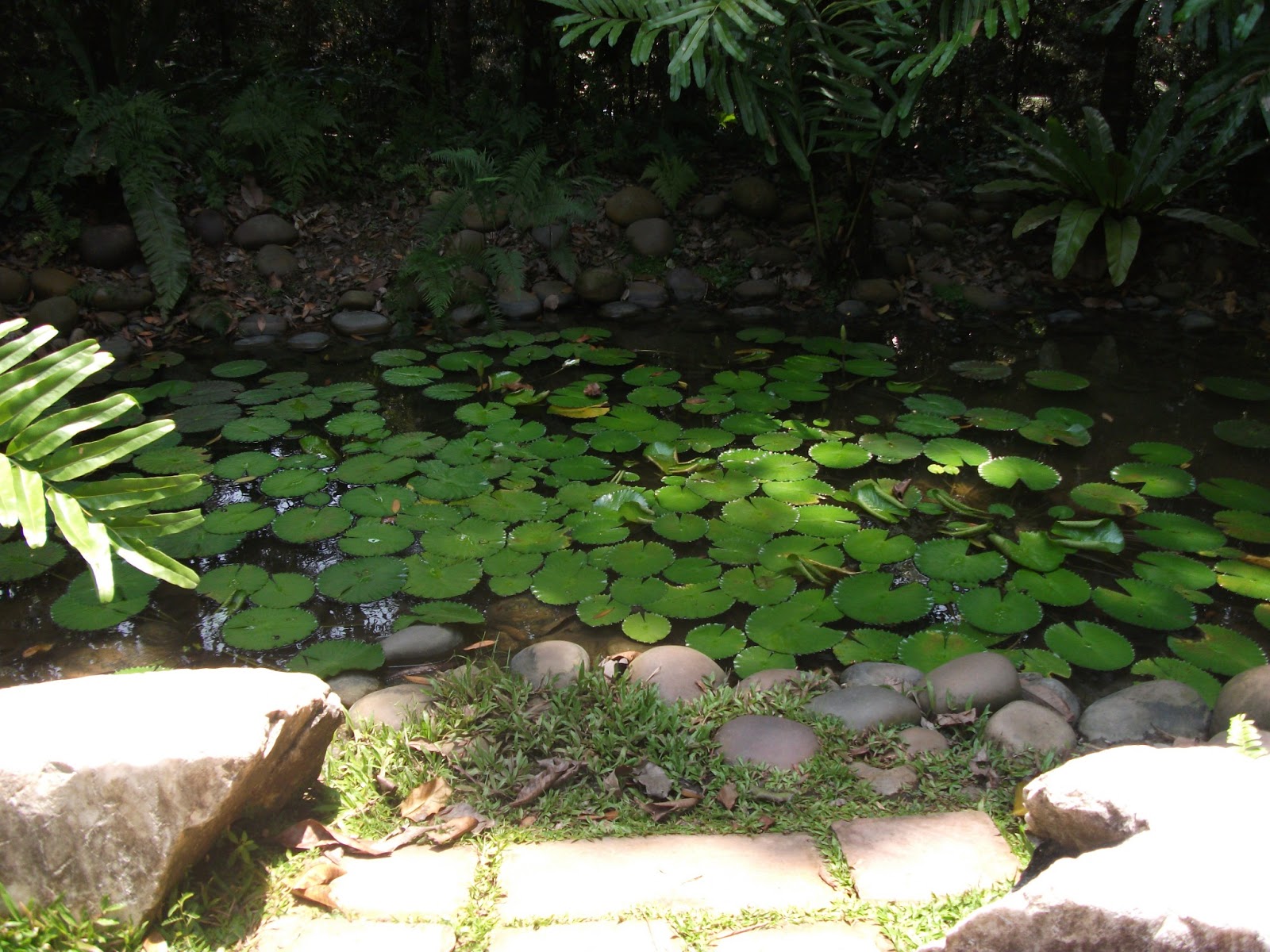 Red Dot Roaming - Botanic Gardens MRT
