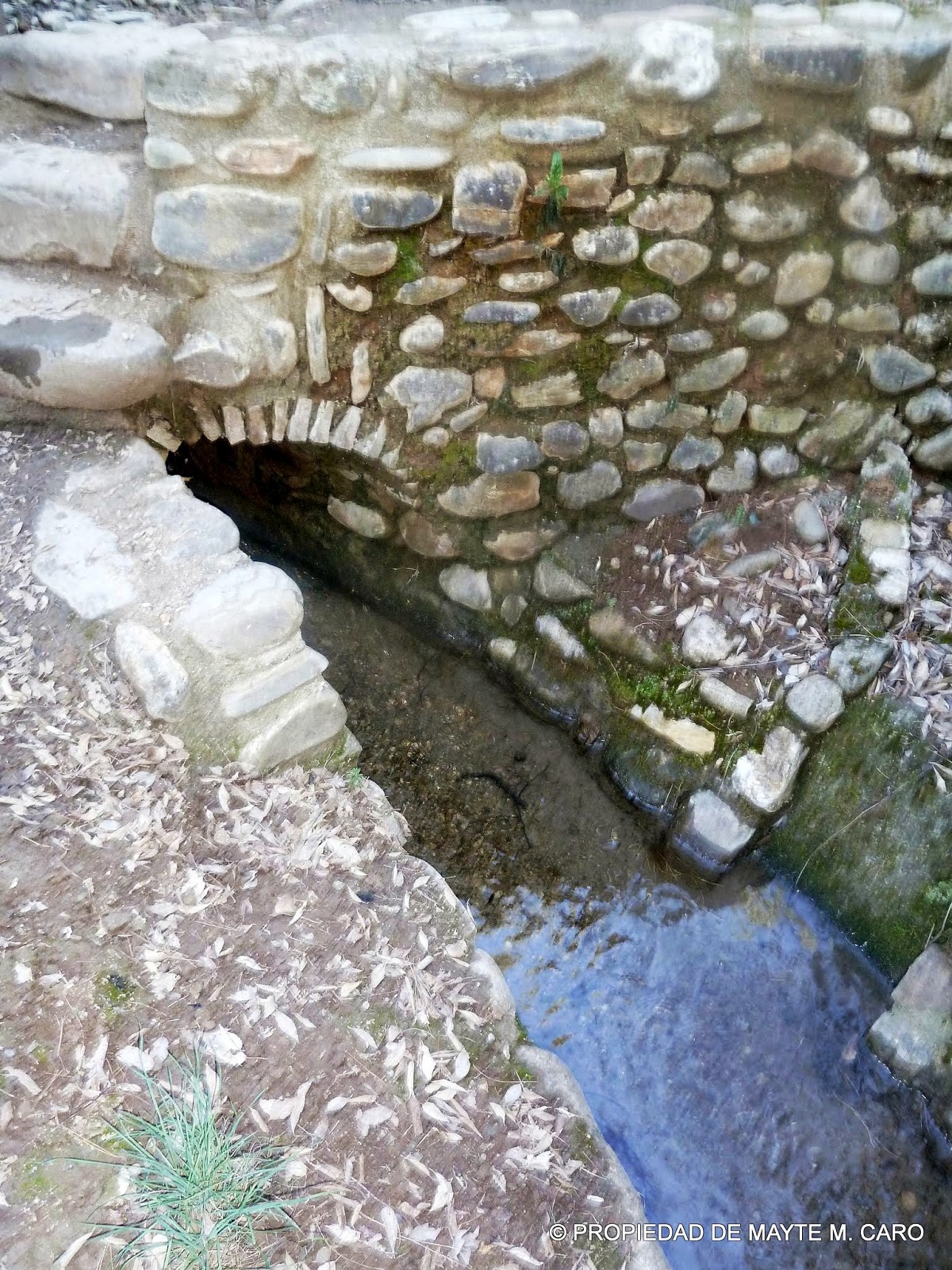 FUENTES EN GRANADA: La Acequia Real parte desde la Hacienda-Cortijo de ...