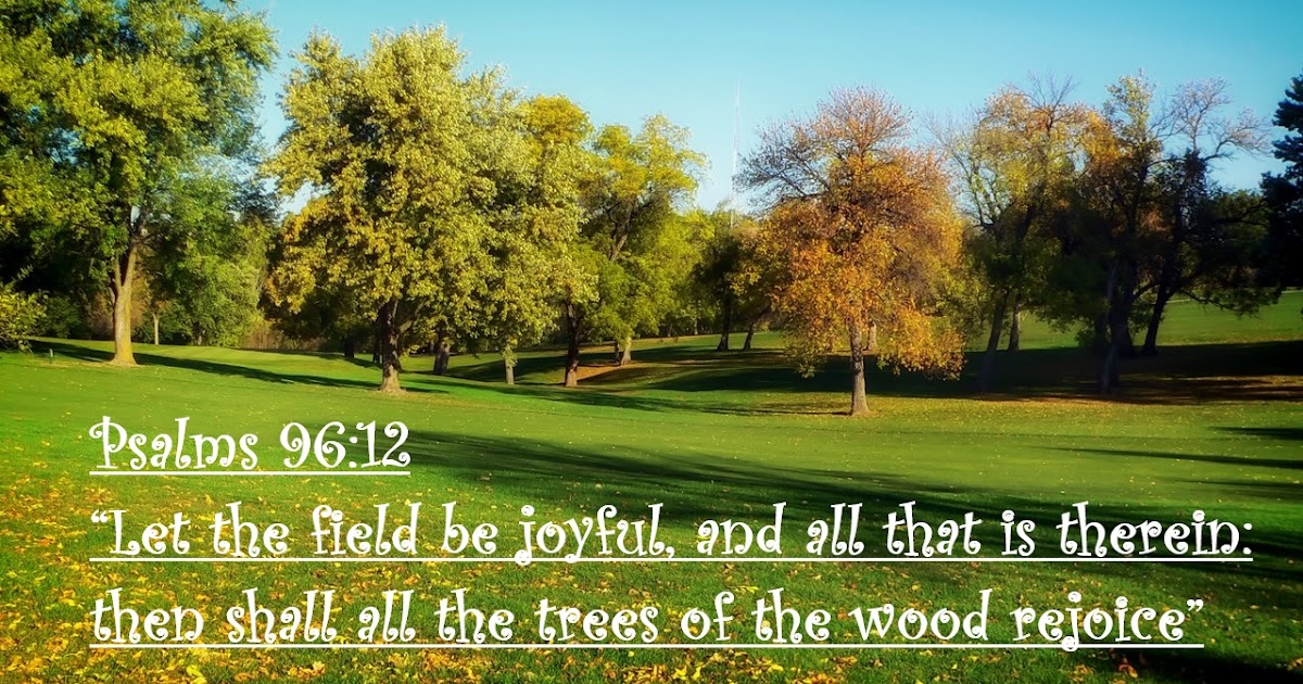 Daily verse November 16, 2017 - Psalms 96:12