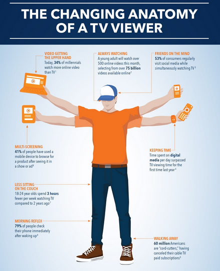 Anatomy of a TV viewer.