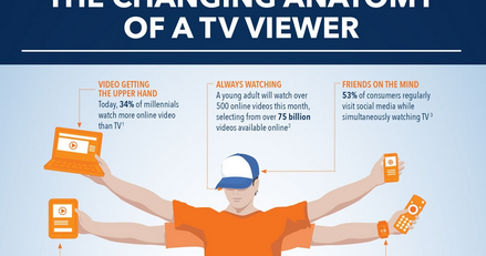 Anatomy of a TV viewer.