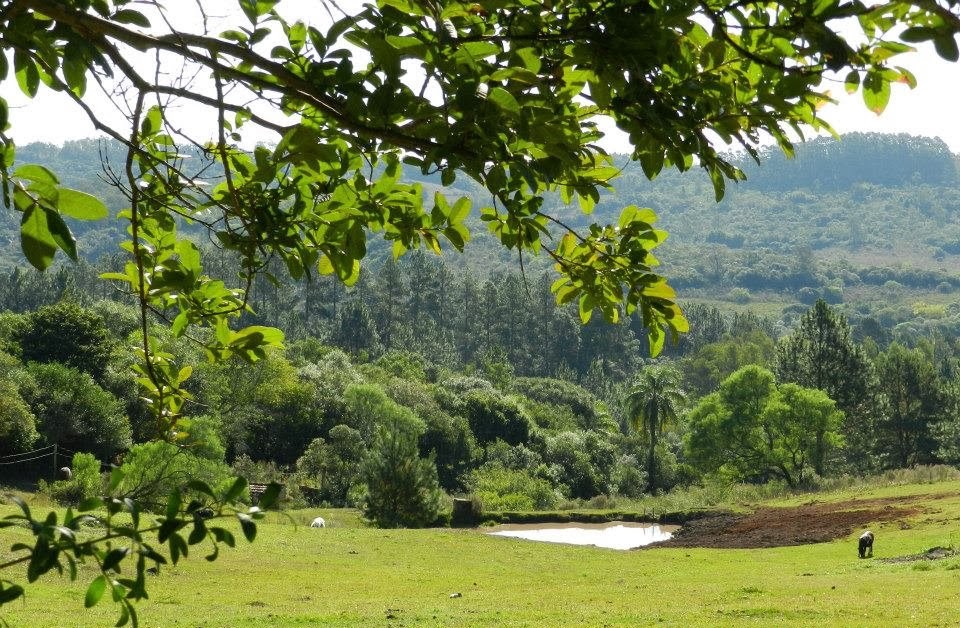 Sítio Panamar - Turismo Rural e Café Colonial - Pelotas,RS: Visite o ...