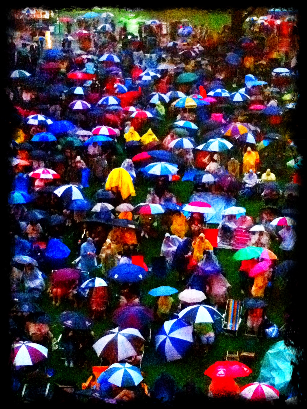 Morning Light Images: A Sea of Umbrellas